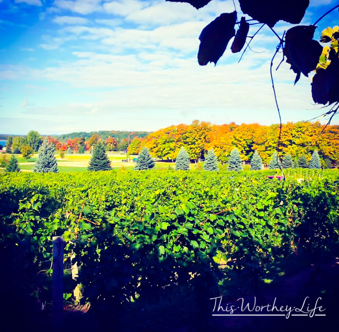 Fall Road Trip Ideas In The Midwest