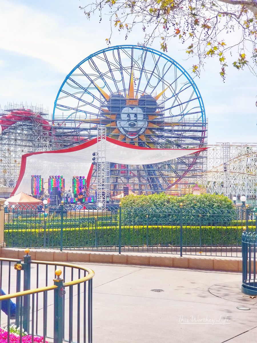 Disneyland at Home: Bringing Home the Magic When You Can't Go There