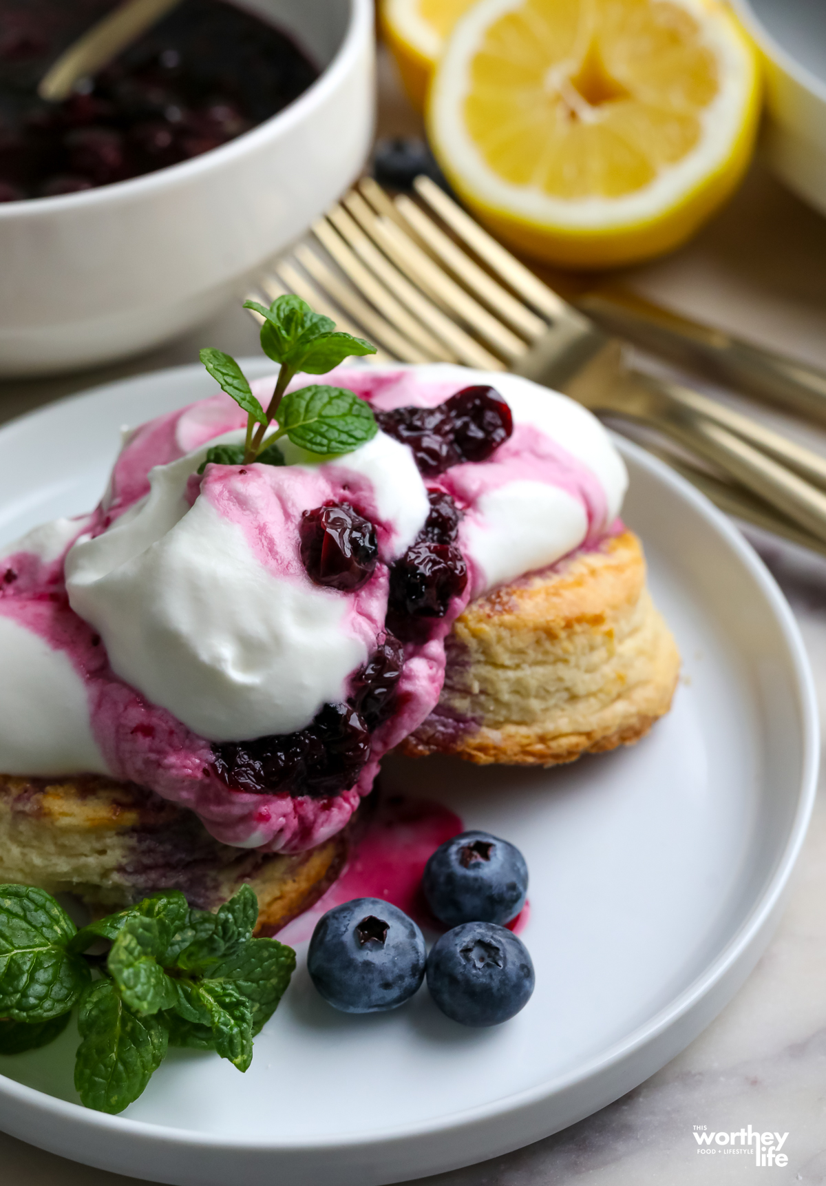 Blueberry Shortcake Recipe